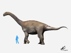 Zby | Dinopedia | Fandom