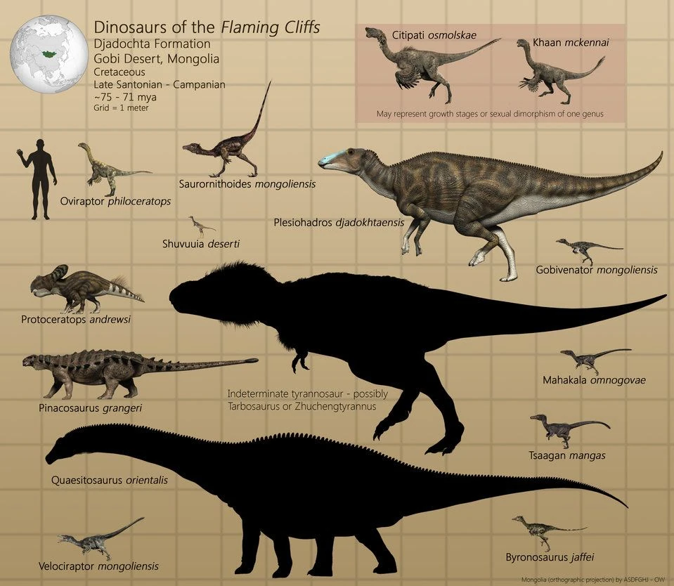 Tsaagan | Dinopedia | Fandom