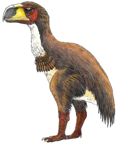 Brontornis | Dinopedia | Fandom