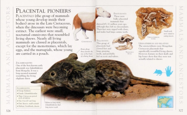 Coryphodon | Dinopedia | Fandom