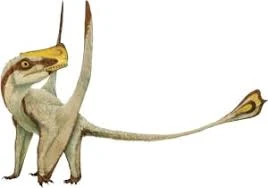 Austriadactylus | Dinopedia | Fandom