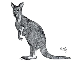Macropus ferragus | Dinopedia | Fandom