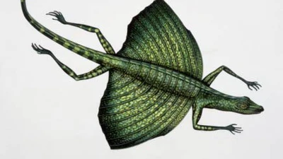 Discuss Everything About Dinopedia | Fandom