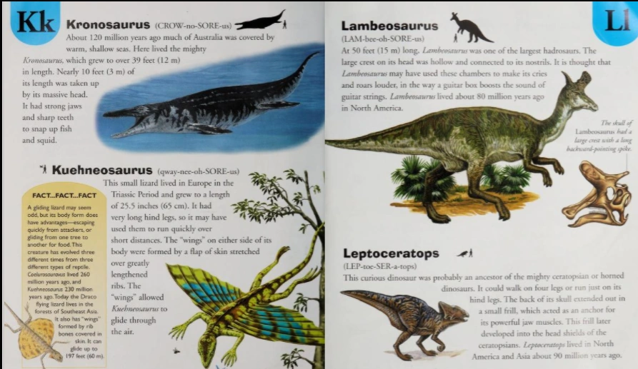 Kuehneosaurus | Dinopedia | Fandom