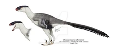 Dromaeosaurus | Dinopedia | Fandom