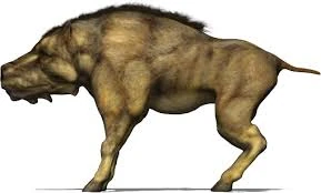 Daeodon | Dinopedia | Fandom