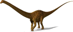 Diplodocus | Dinopedia | Fandom