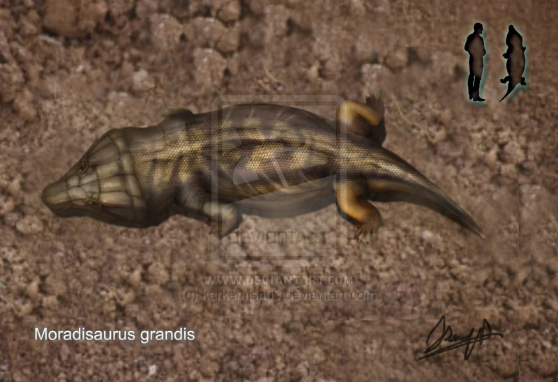 Moradisaurus | Dinopedia | Fandom