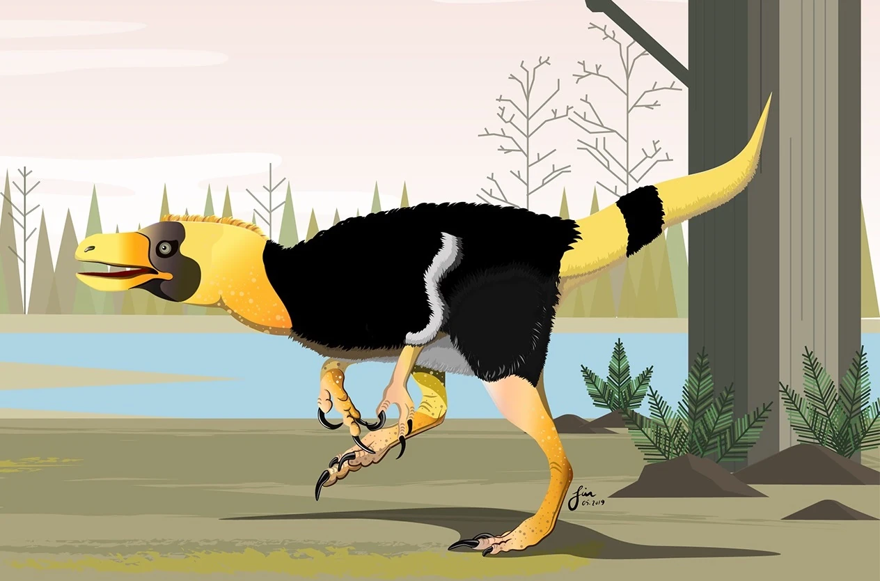 Vayuraptor | Dinopedia | Fandom