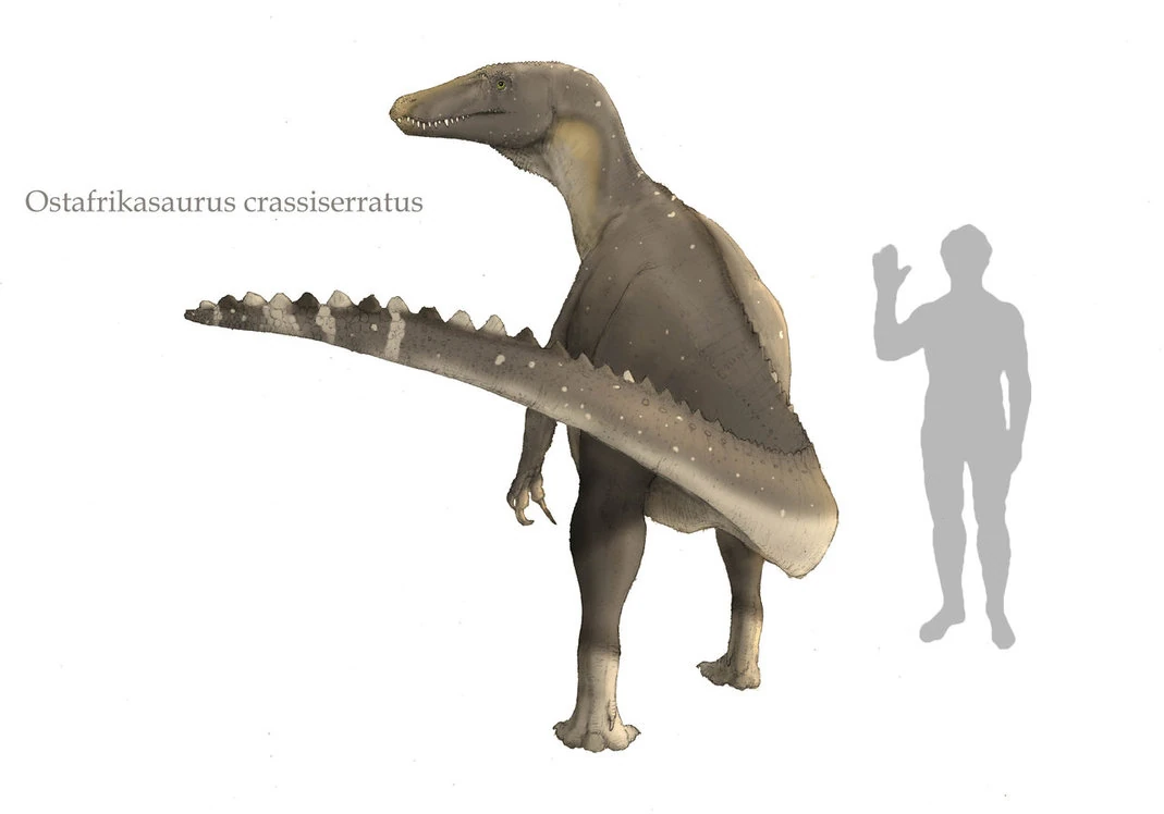 Ostafrikasaurus Size PNSO Sinopliosaurus Review