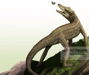 Protosuchus | Dinopedia | Fandom