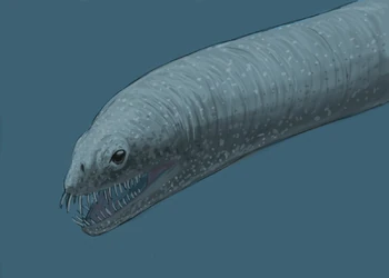 Abyssosaurus | Dinopedia | Fandom