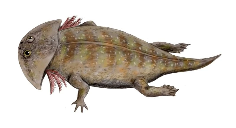 Gerrothorax | Dinopedia | Fandom