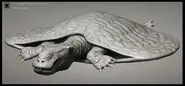 Henodus | Dinopedia | Fandom