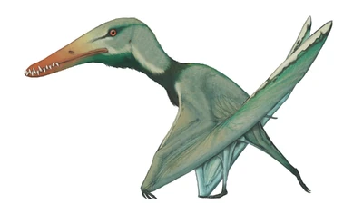 Discuss Everything About Dinopedia | Fandom