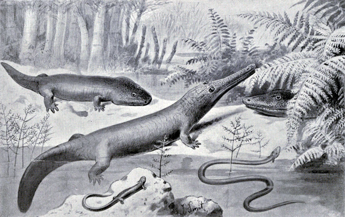 Keraterpeton | Dinopedia | Fandom