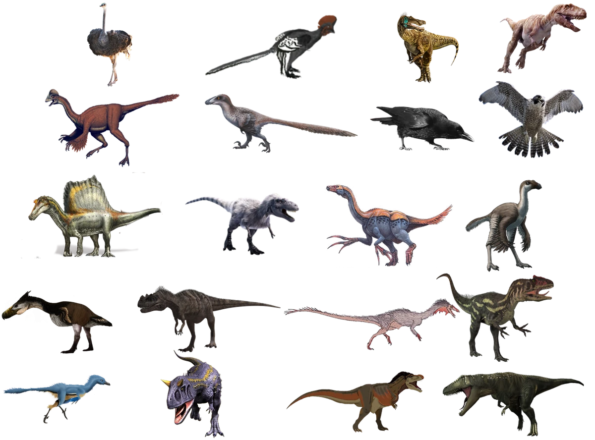 Neotheropoda | Dinopedia | Fandom