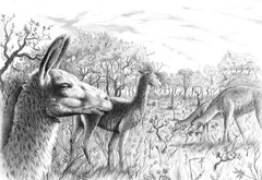 Palaeolama | Dinopedia | Fandom