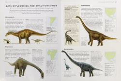 Dinosaur Revolution Cedarosaurus