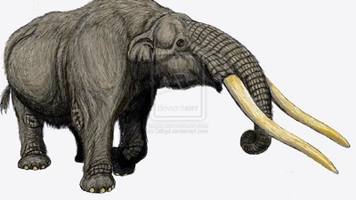 Discuss Everything About Dinopedia | Fandom