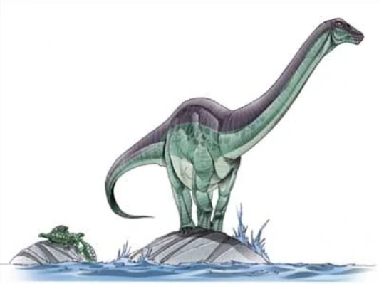 Andesaurus | Dinopedia | Fandom