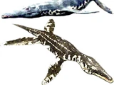 Category:Marine reptiles | Dinopedia | Fandom