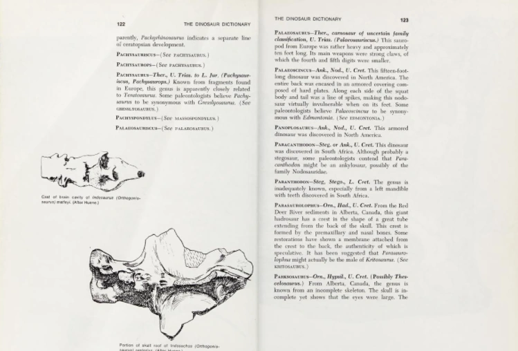 Paranthodon | Dinopedia | Fandom