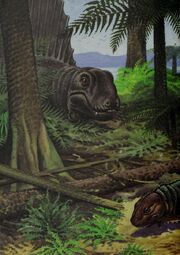 Diadectes | Dinopedia | Fandom