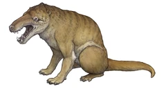 Andrewsarchus | Dinopedia | Fandom