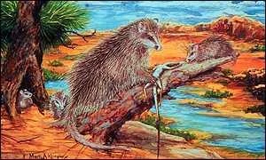 Deltatheridium | Dinopedia | Fandom