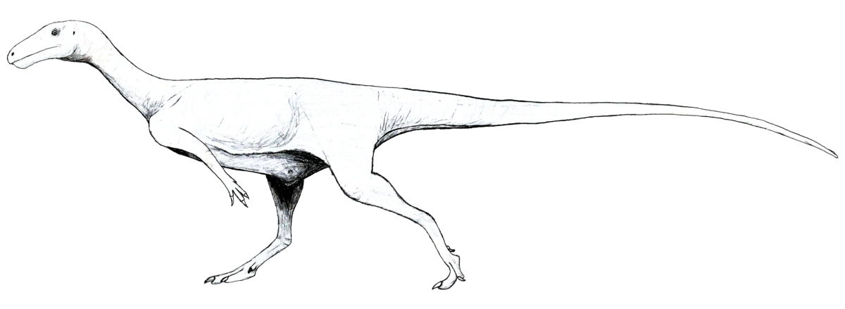 Afromimus | Dinopedia | Fandom