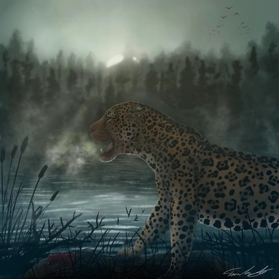 Panthera onca augusta | Dinopedia | Fandom