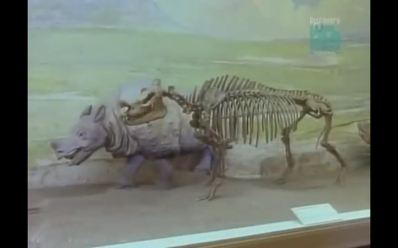 Discuss Everything About Dinopedia | Fandom