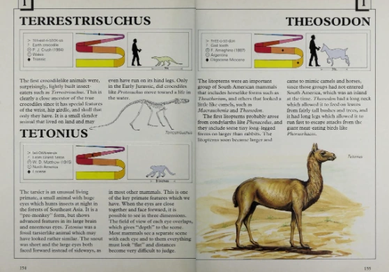 Theosodon | Dinopedia | Fandom
