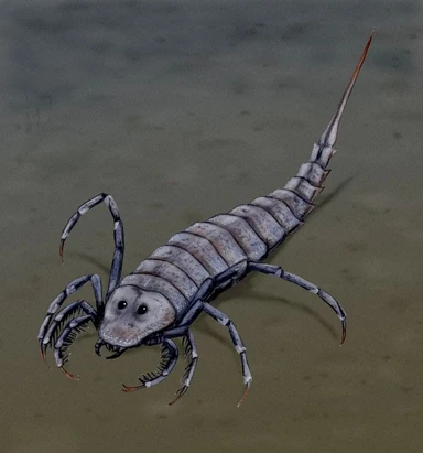 Stylonurus | Dinopedia | Fandom