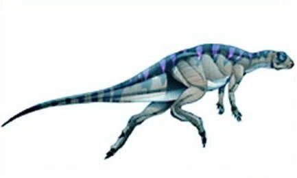 Fabrosaurus | Dinopedia | Fandom