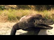 Megalania | Dinopedia | Fandom