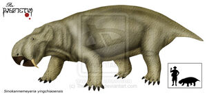 Kannemeyeriidae | Dinopedia | Fandom