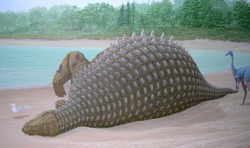 Niobrarasaurus | Dinopedia | Fandom