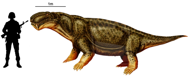 Discuss Everything About Dinopedia | Fandom