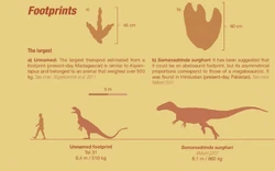 Samanadrinda | Dinopedia | Fandom