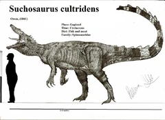 Suchosaurus | Dinopedia | Fandom