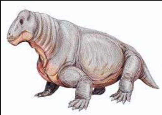 Criocephalosaurus | Dinopedia | Fandom