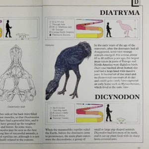 Discuss Everything About Dinopedia | Fandom