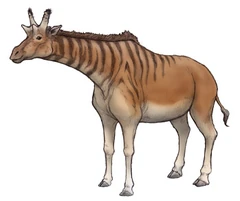 Shansitherium | Dinopedia | Fandom