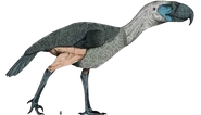 Devincenzia | Dinopedia | Fandom