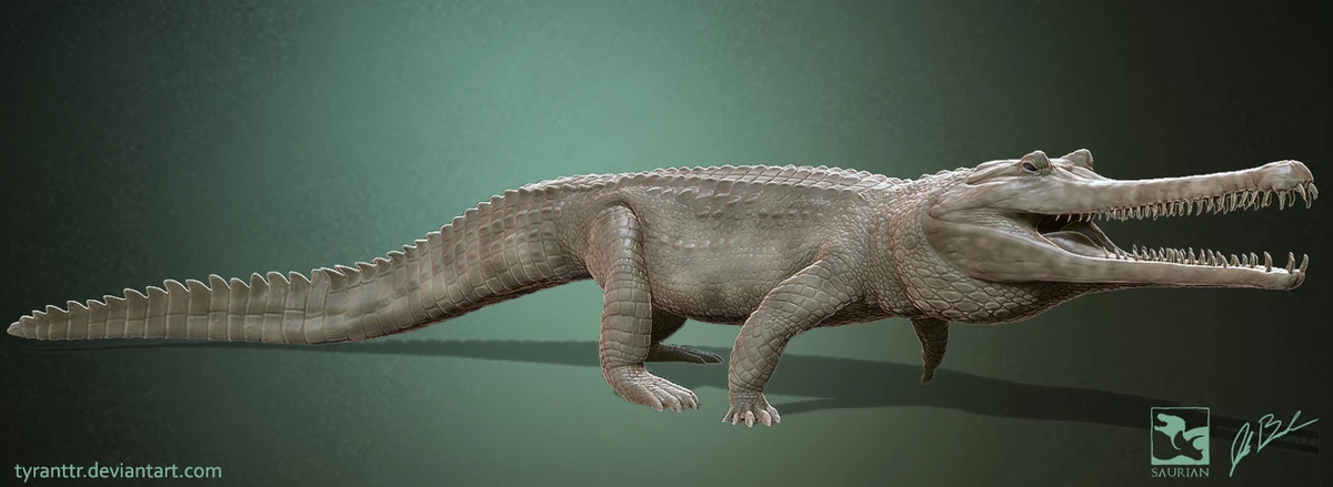 Thoracosaurus | Dinopedia | Fandom