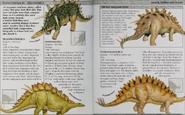 Huayangosaurus | Dinopedia | Fandom
