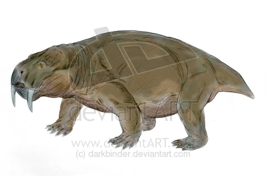 Kannemeyeriidae | Dinopedia | Fandom