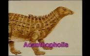 Acanthopholis | Dinopedia | Fandom